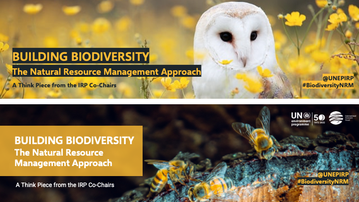 Webinar: Natural Resource Management for Biodiversity Governance